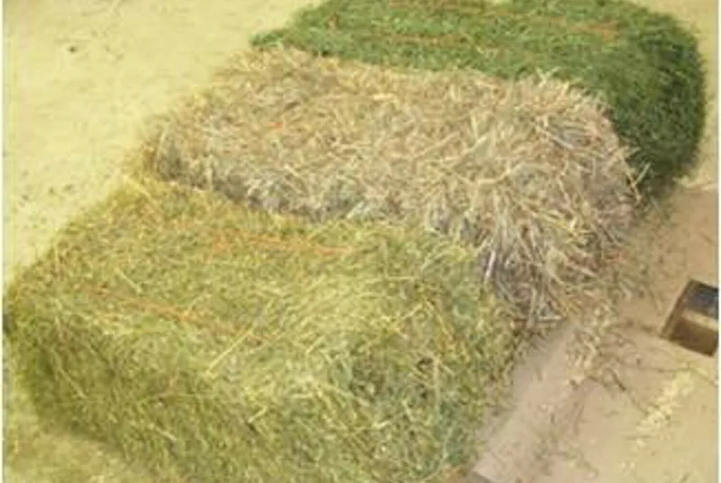 GB Small Bale Meadow Hay - min 21 bales