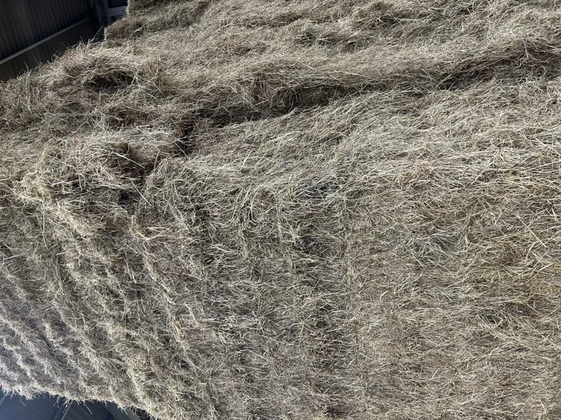 GB 4 string Pony Hay Irish bale 6ft