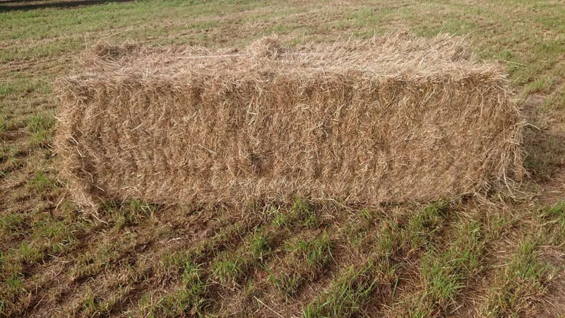 GB 4 String Square Bale Pony Hay